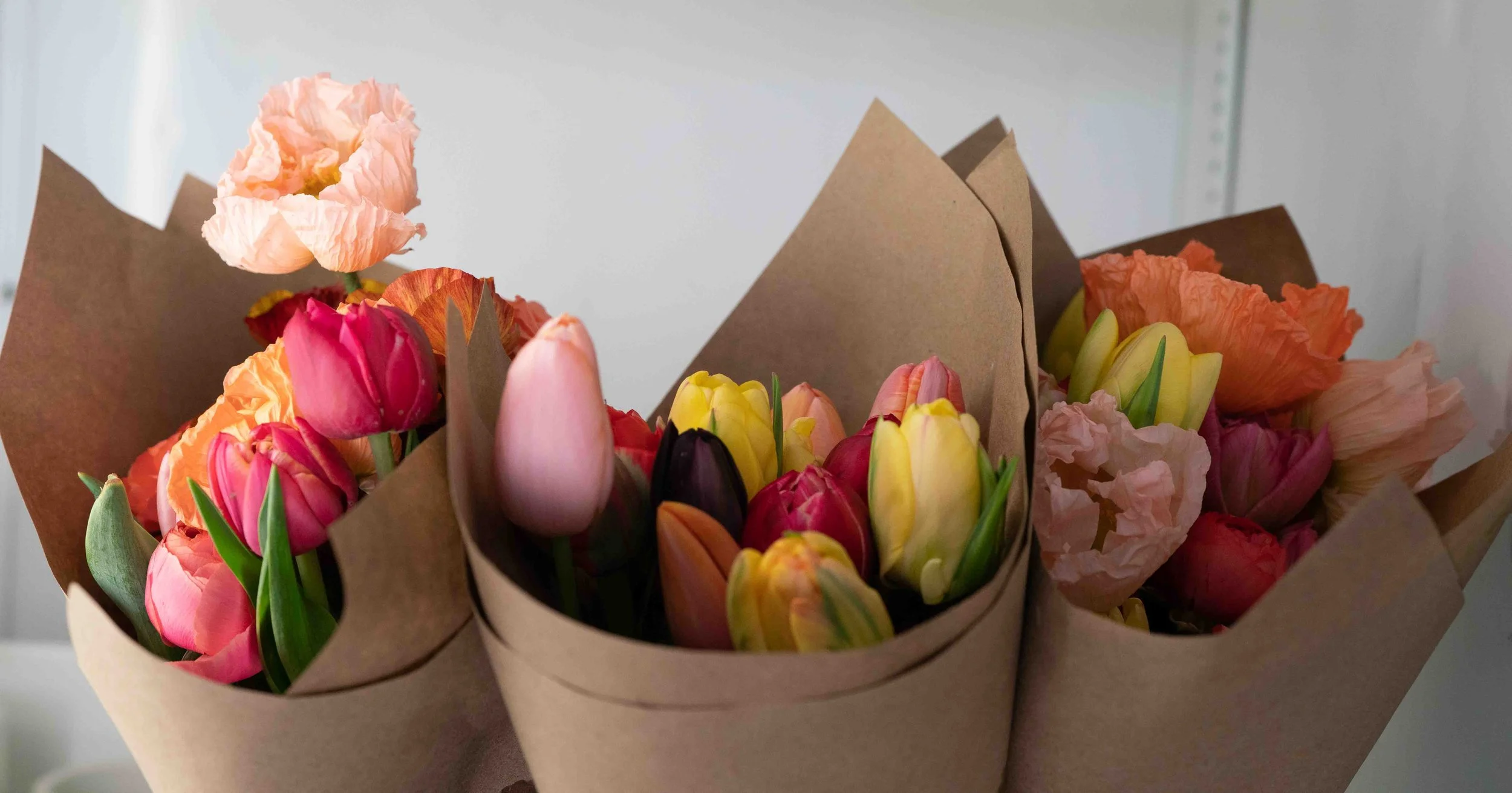 Artemis Flower Farm