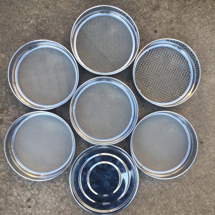 Save Your Own Cut Flower Seeds — Artemis Flower Farm