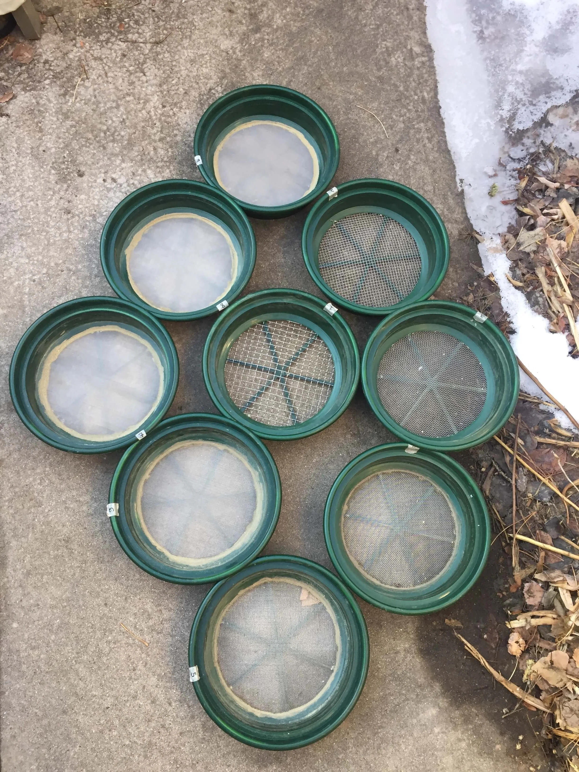 Save Your Own Cut Flower Seeds — Artemis Flower Farm