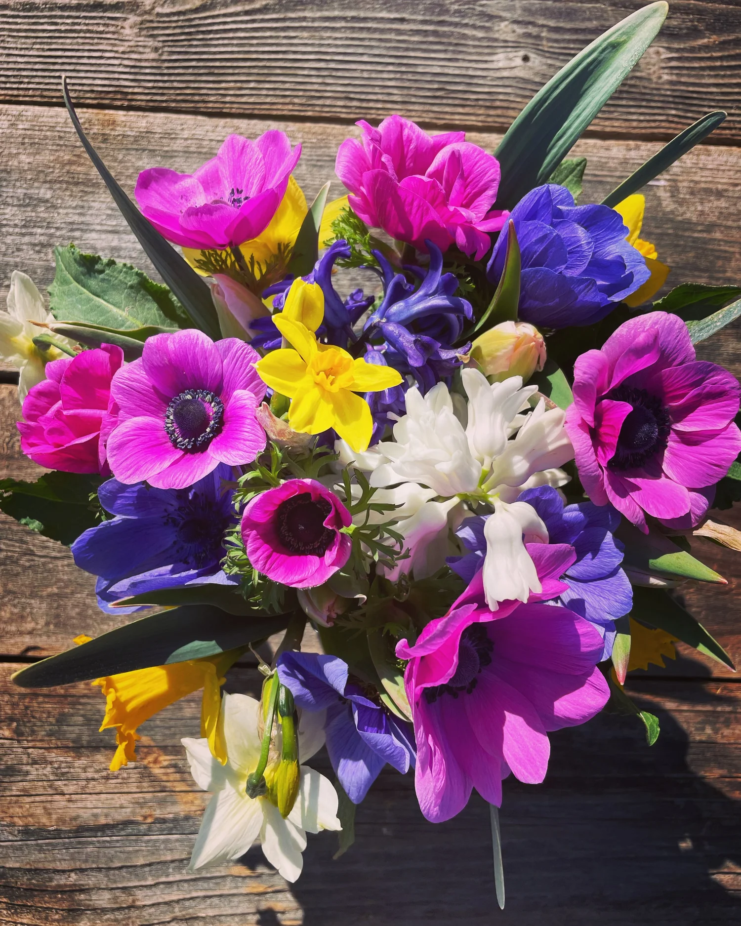 Thrive Flower Farm OK