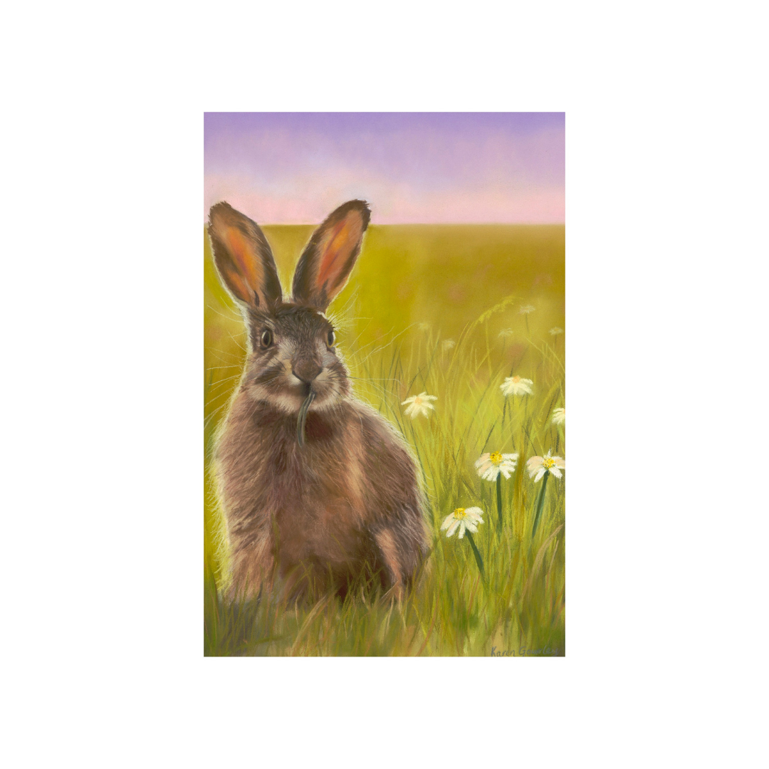 Karen Gourley Bird and Wildlife Art