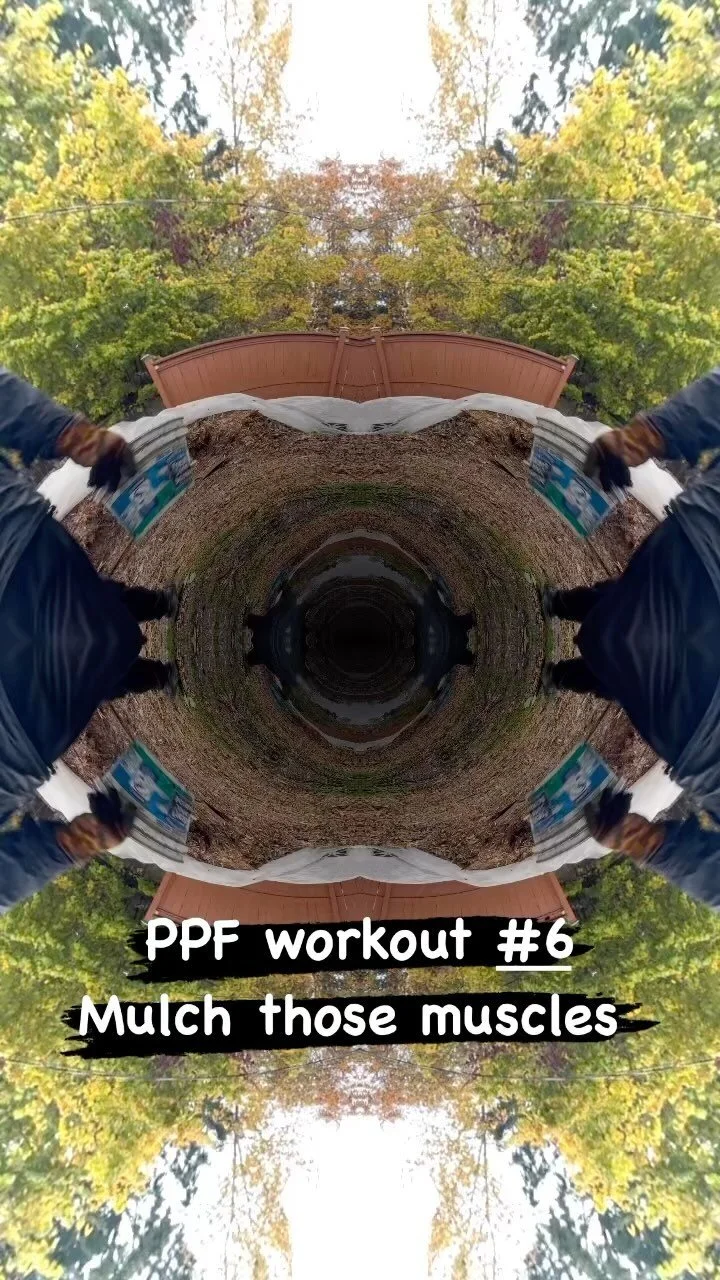 Primitive Pulse Fitness