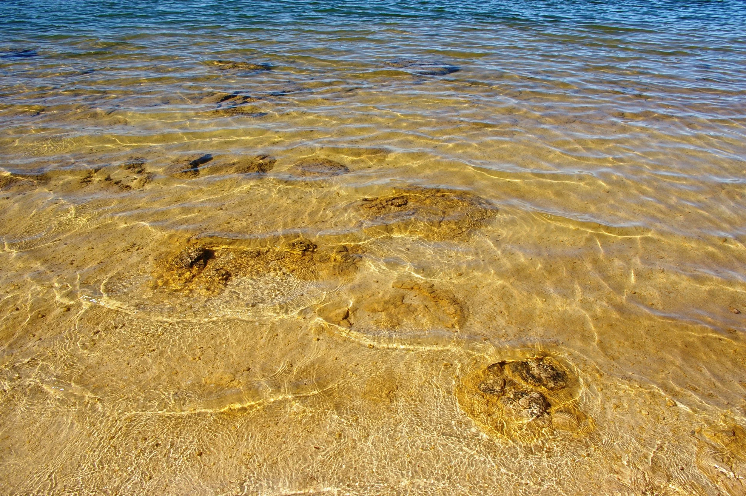 News — Yued Aboriginal Corporation