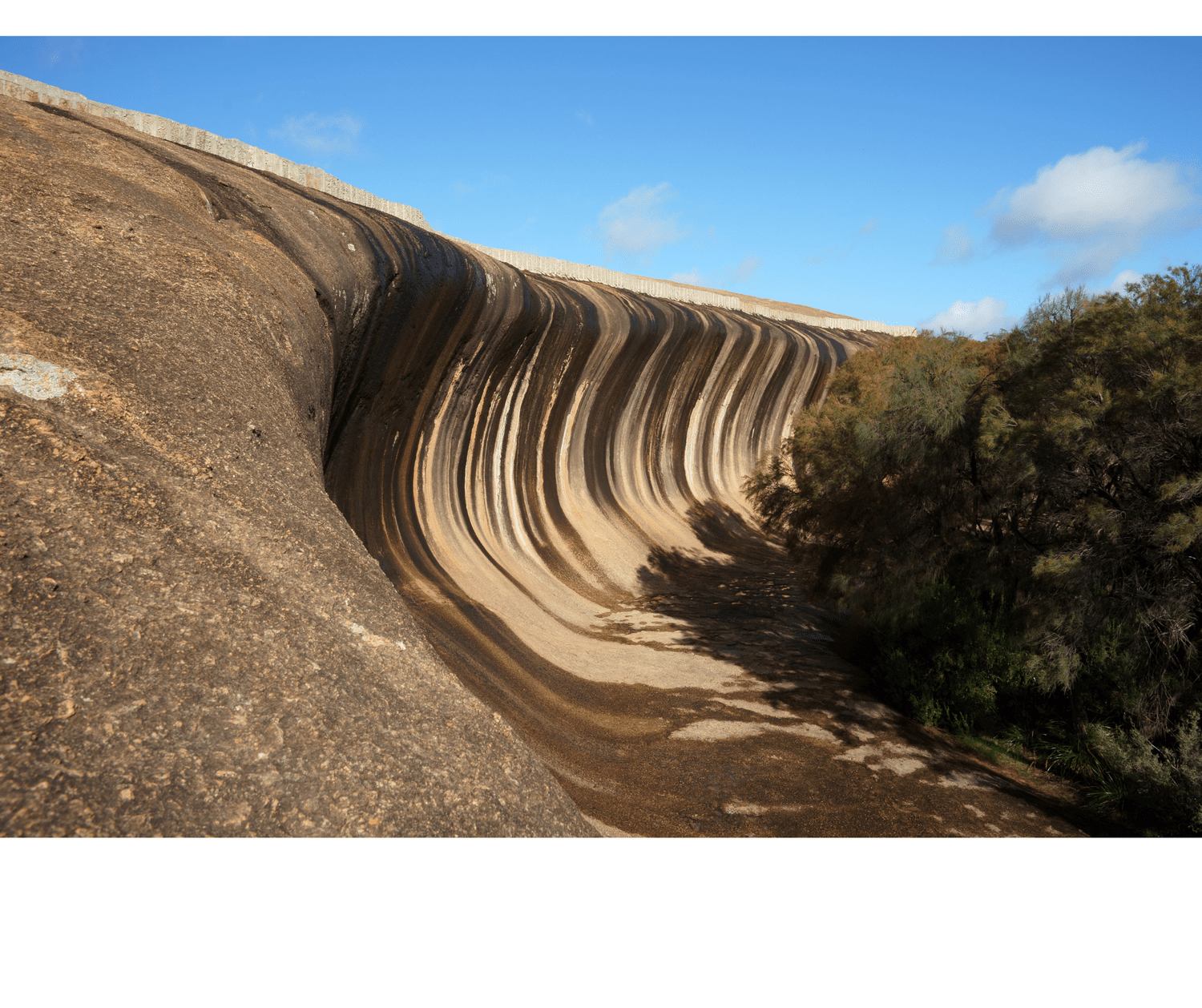 Contact 1 — Ballardong Aboriginal Corporation