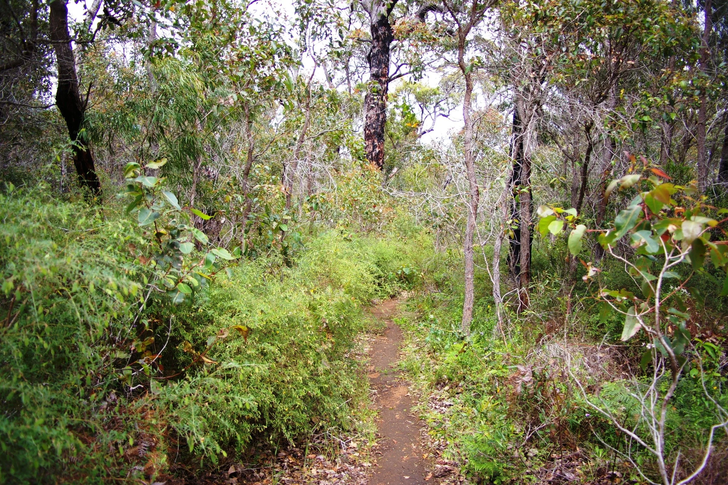Karri Karrak Aboriginal Corporation