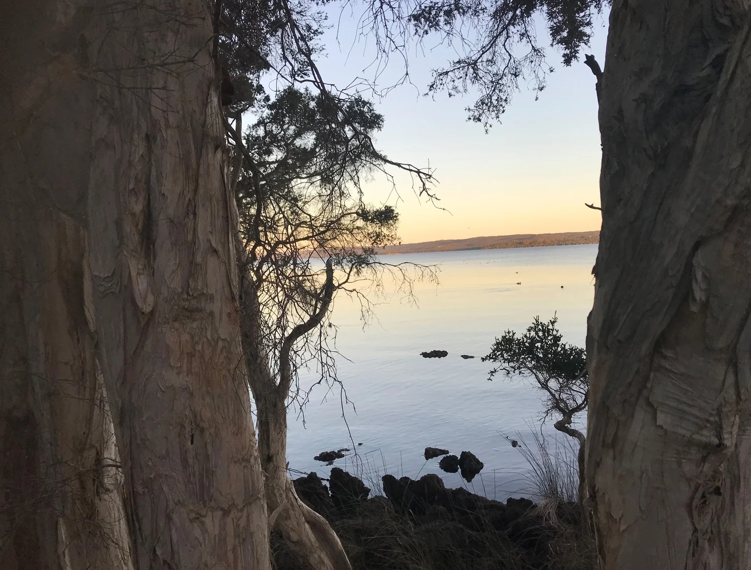 General 1 — Wagyl Kaip Southern Noongar Aboriginal Corporation