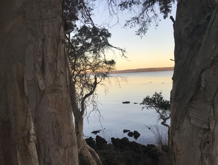 General 1 — Wagyl Kaip Southern Noongar Aboriginal Corporation