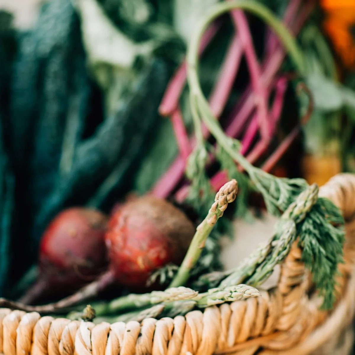 Cindy Townsend Nutrition