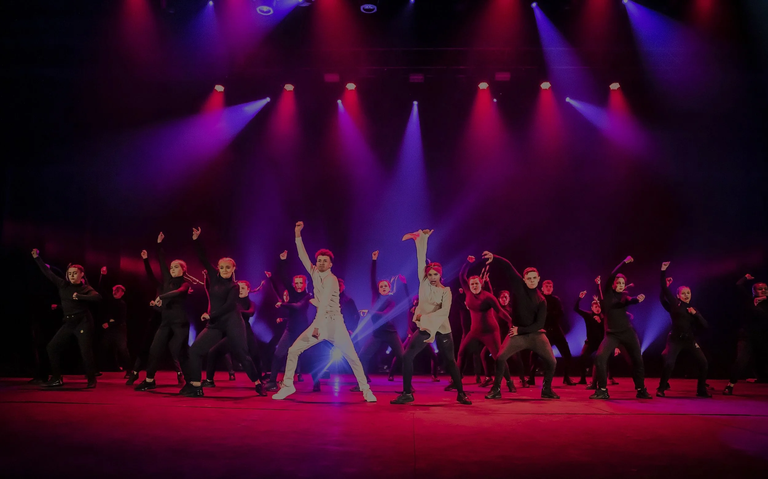 What we Offer — Studio 79 Youth CIC