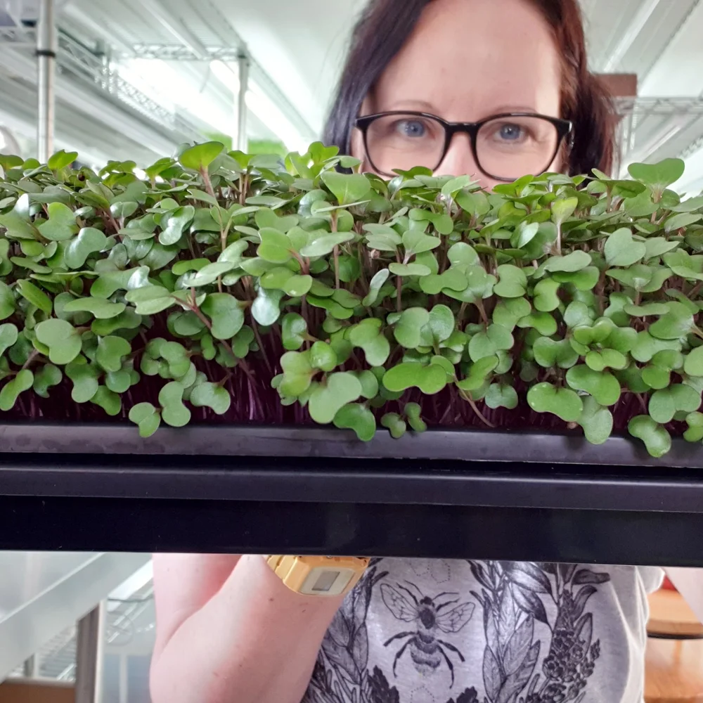 Microgreens Farming – Finding Your Happy — Farm Microgreens UK