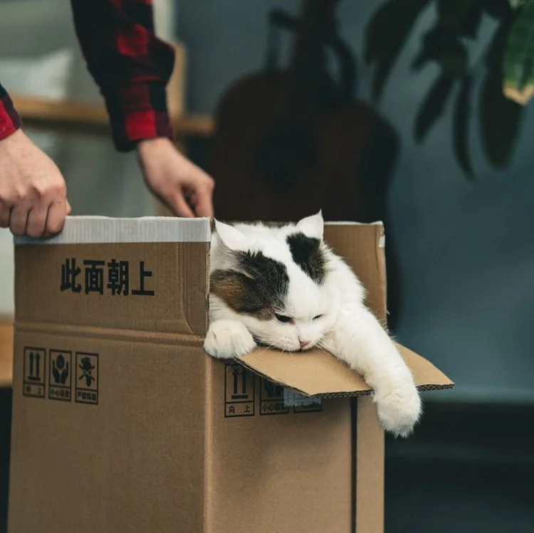 Low Cost Parcel Delivery - International & UK Delivery - World Options