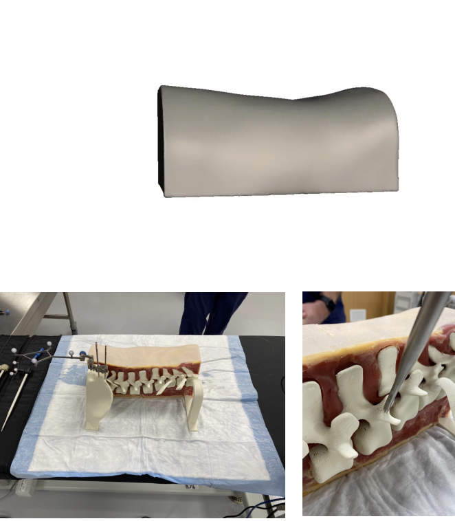 NEUROSURGERY PHANTOMS — VIOMERSE