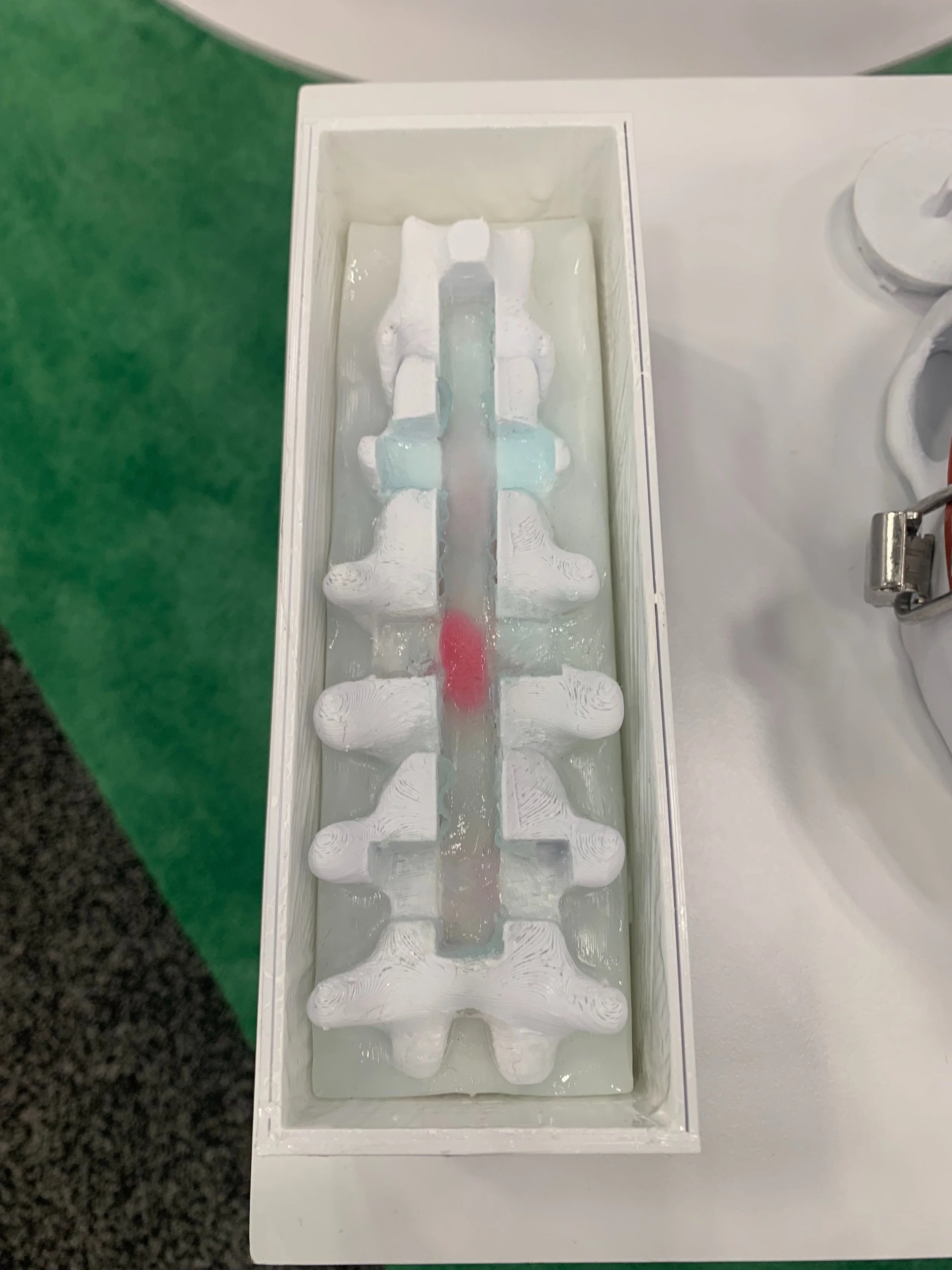 NEUROSURGERY PHANTOMS — VIOMERSE