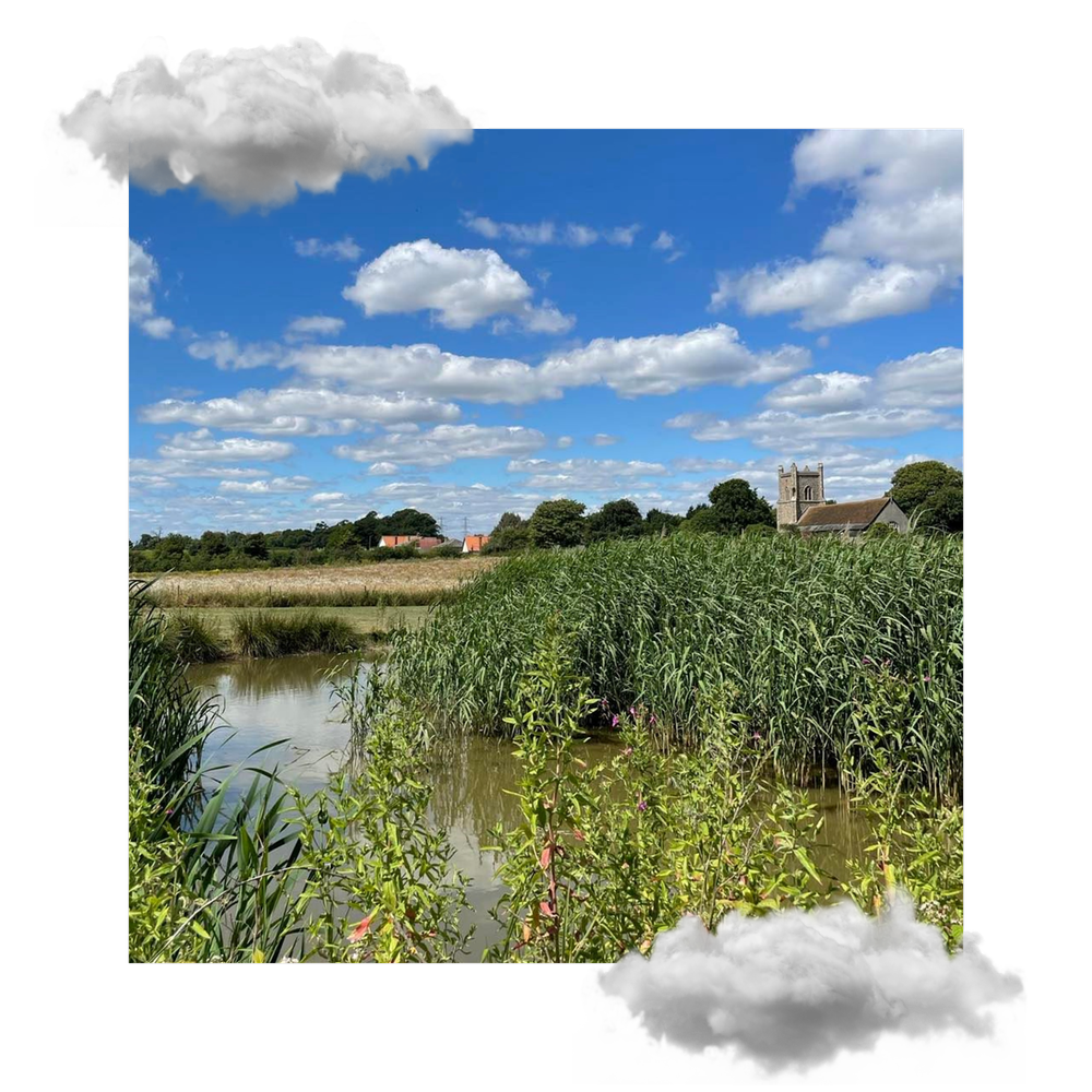 Friston — Reclaim The Rain
