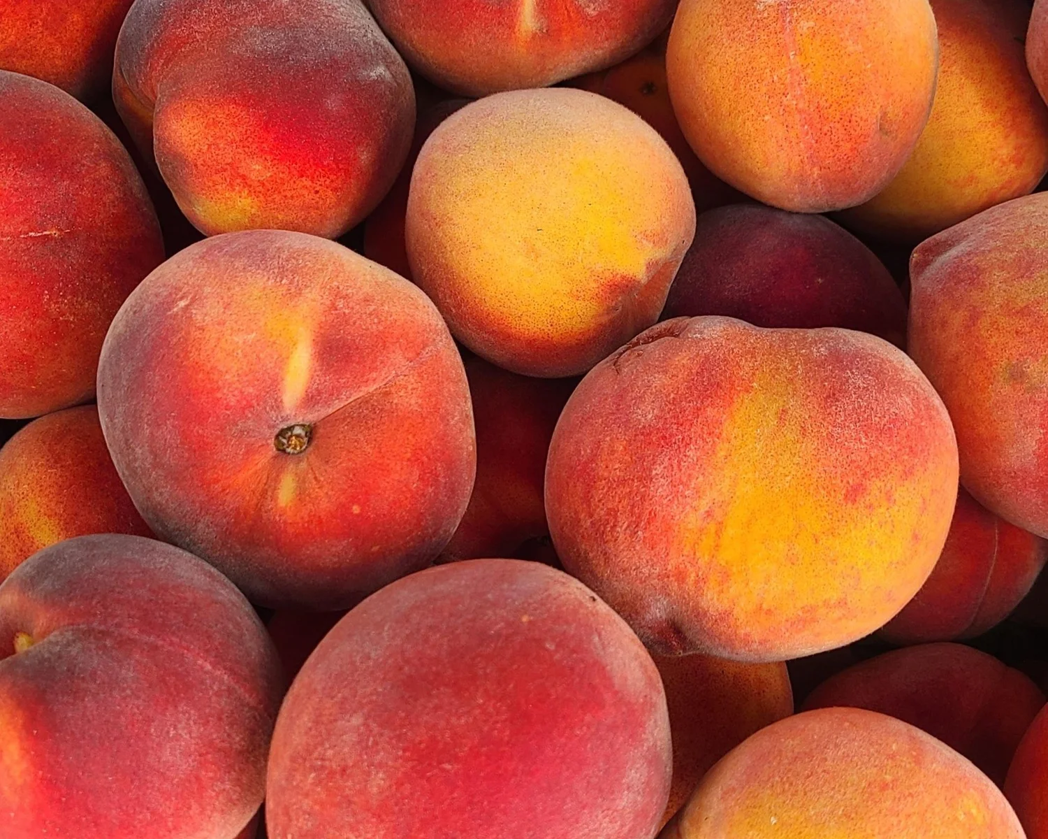 Sweet as a peach — Remindful Eating Home