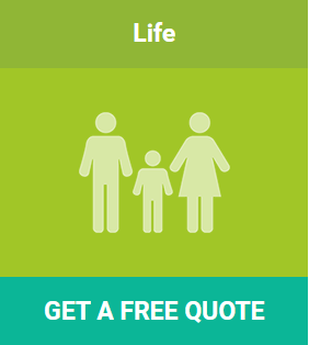 Florida Educators Insurance