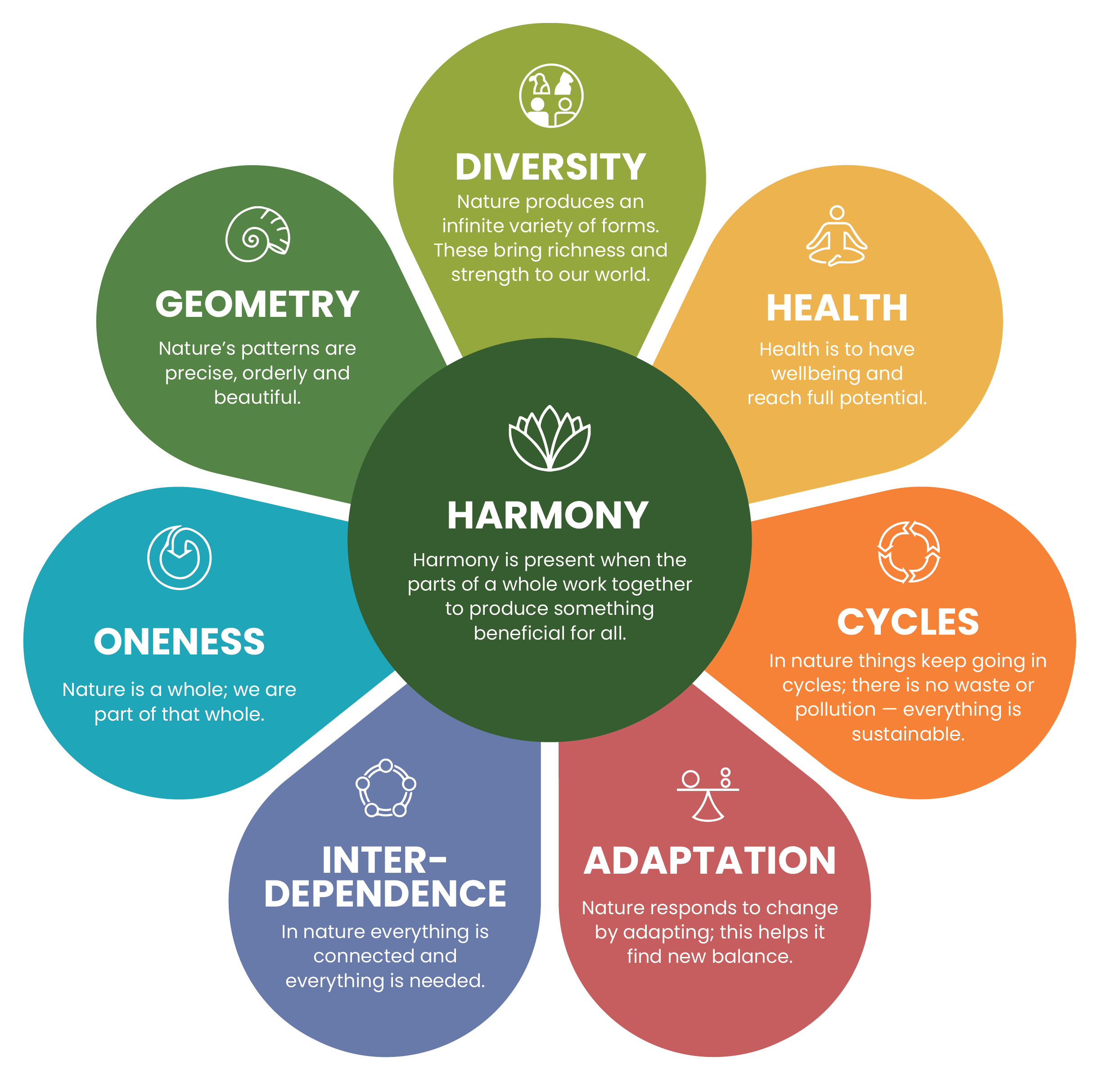 Bloom education helps schools bring nature into the curriculum in ...