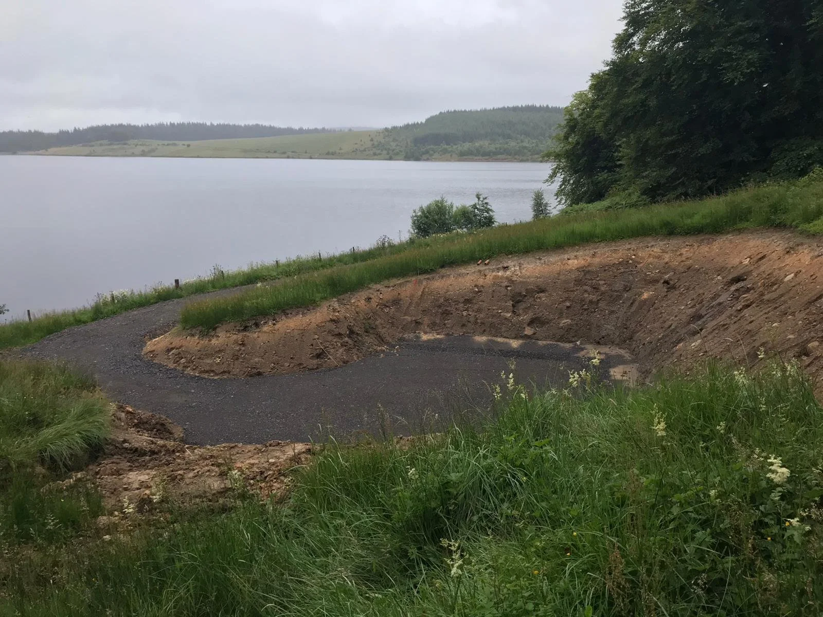 The Human Burrow — Artists & Engineers