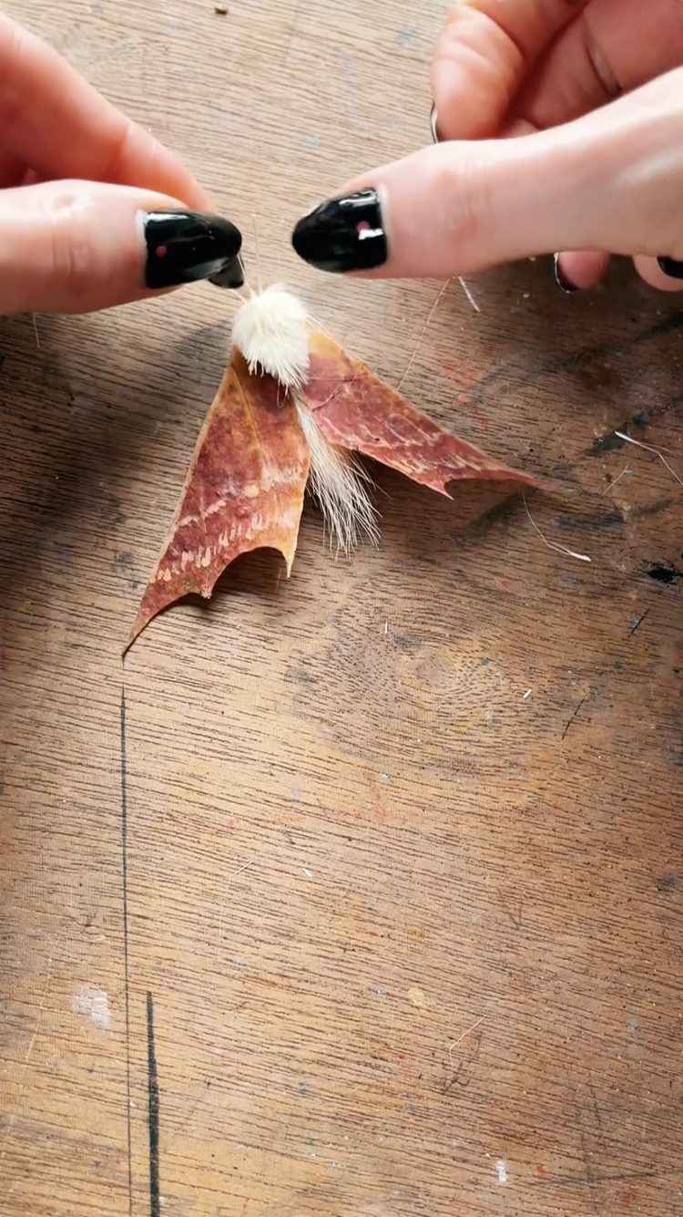 Autumn Leaves Moths — Amy Plante
