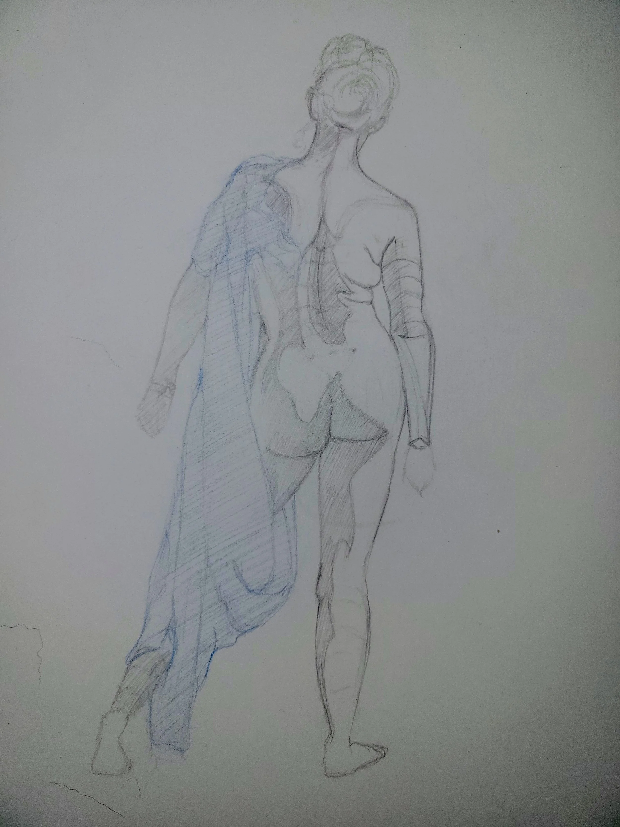 NMA Coaching Program