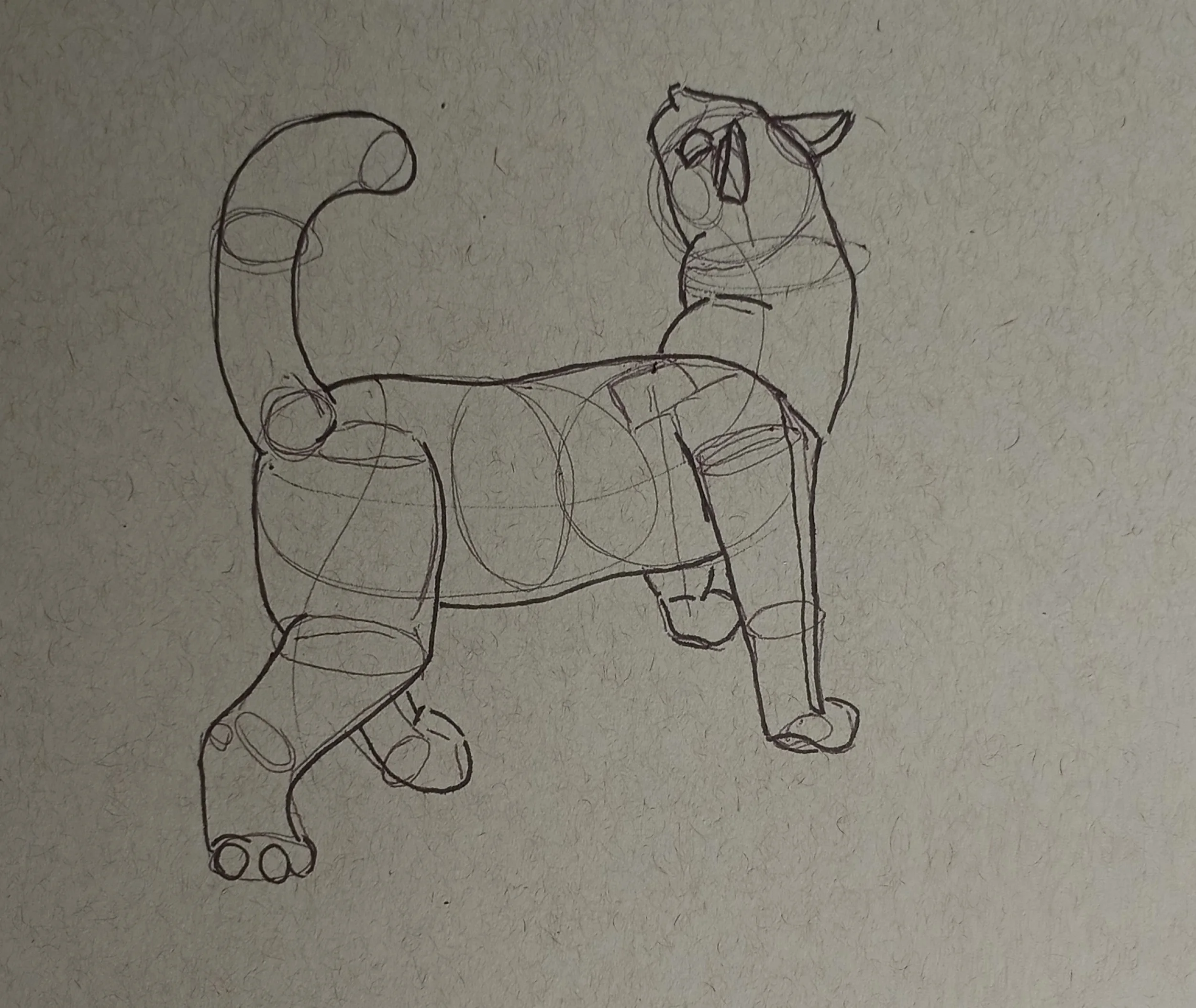 NMA Coaching Program