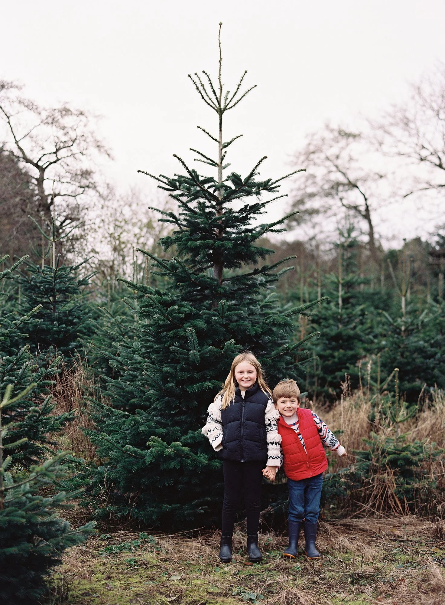 Festive family portraits at Christmas Tree Farm