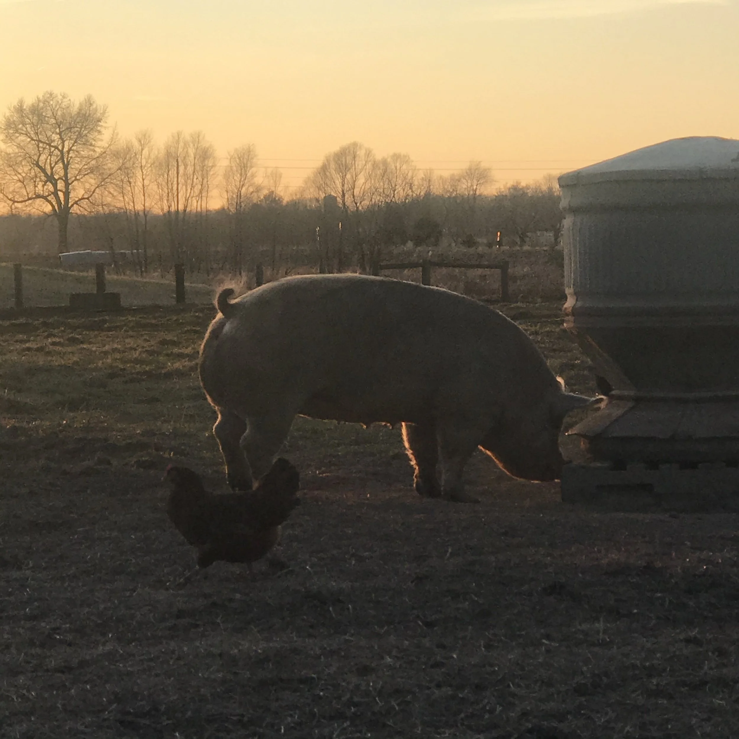 About — Bennett Farms