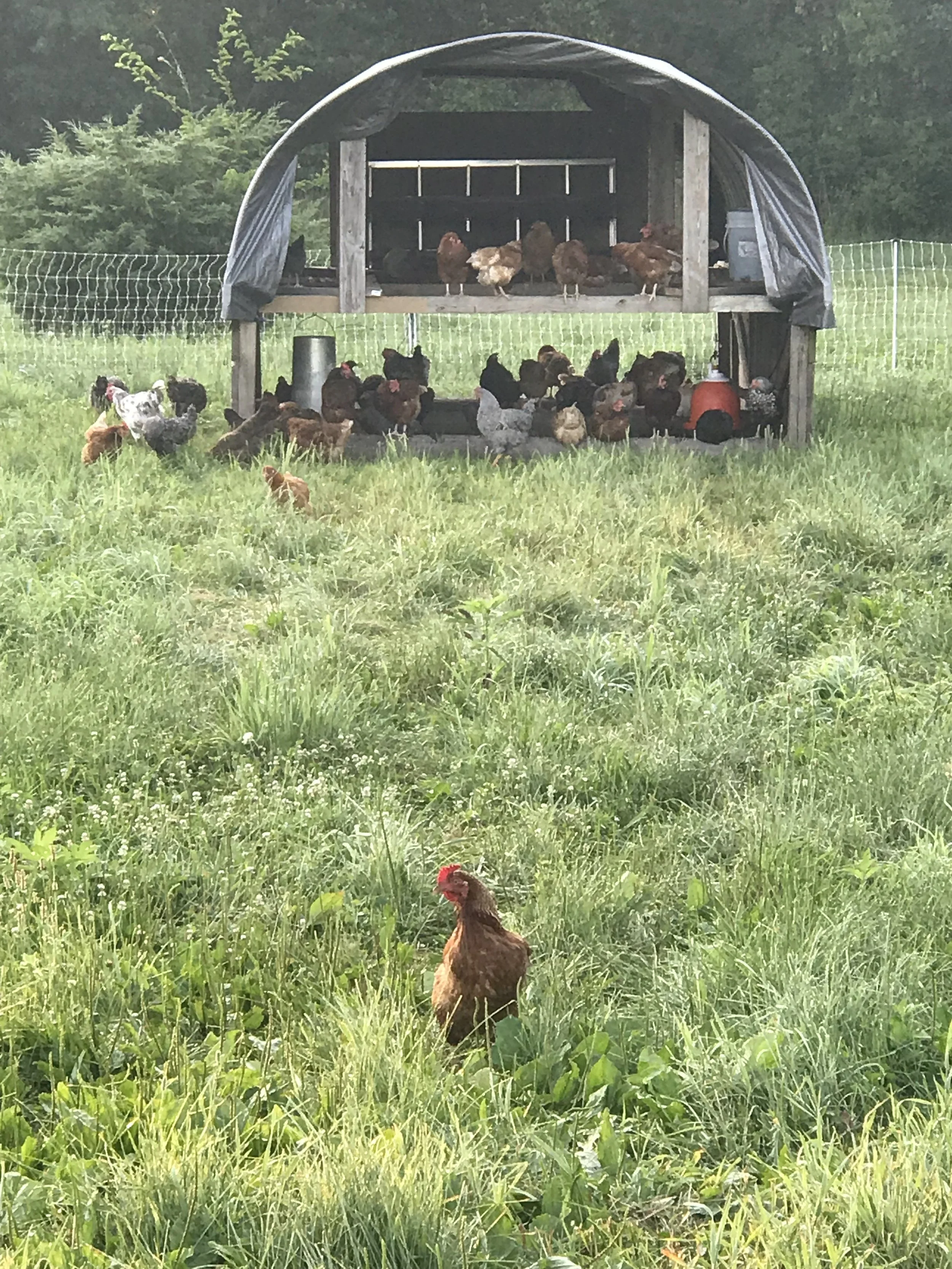 About — Bennett Farms