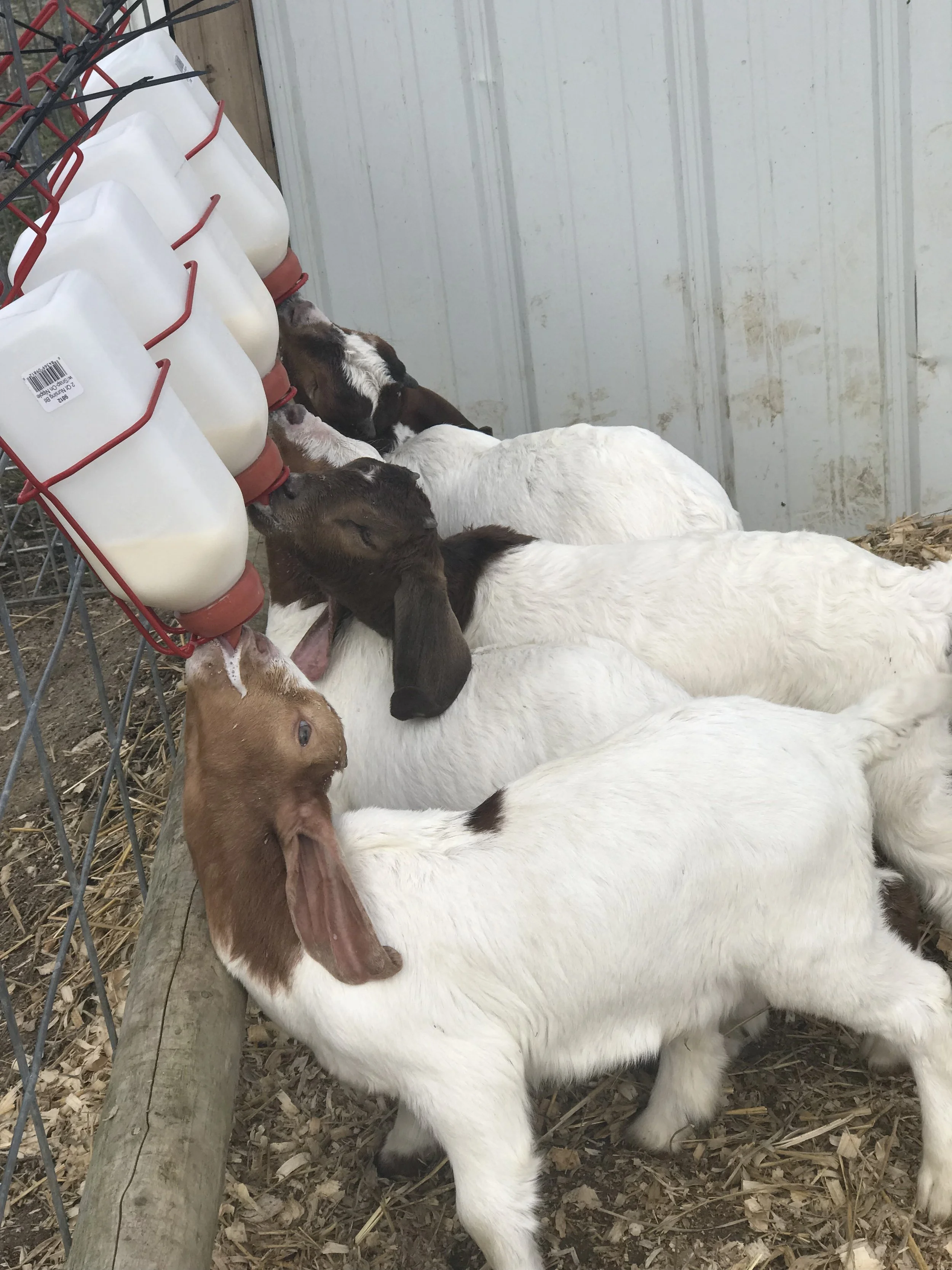 About — Bennett Farms