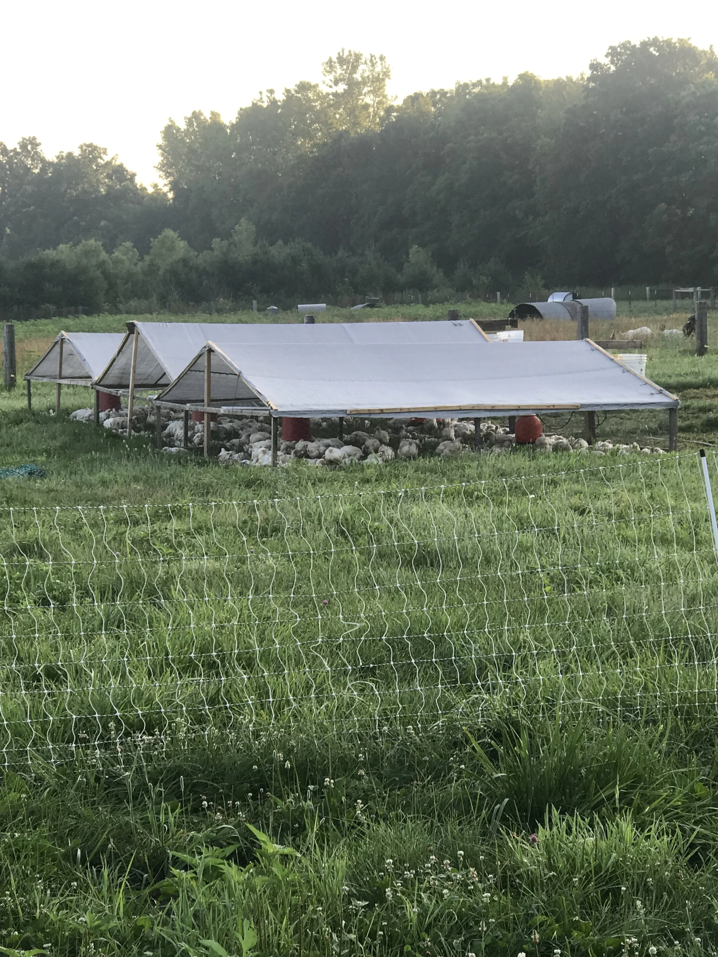 About — Bennett Farms