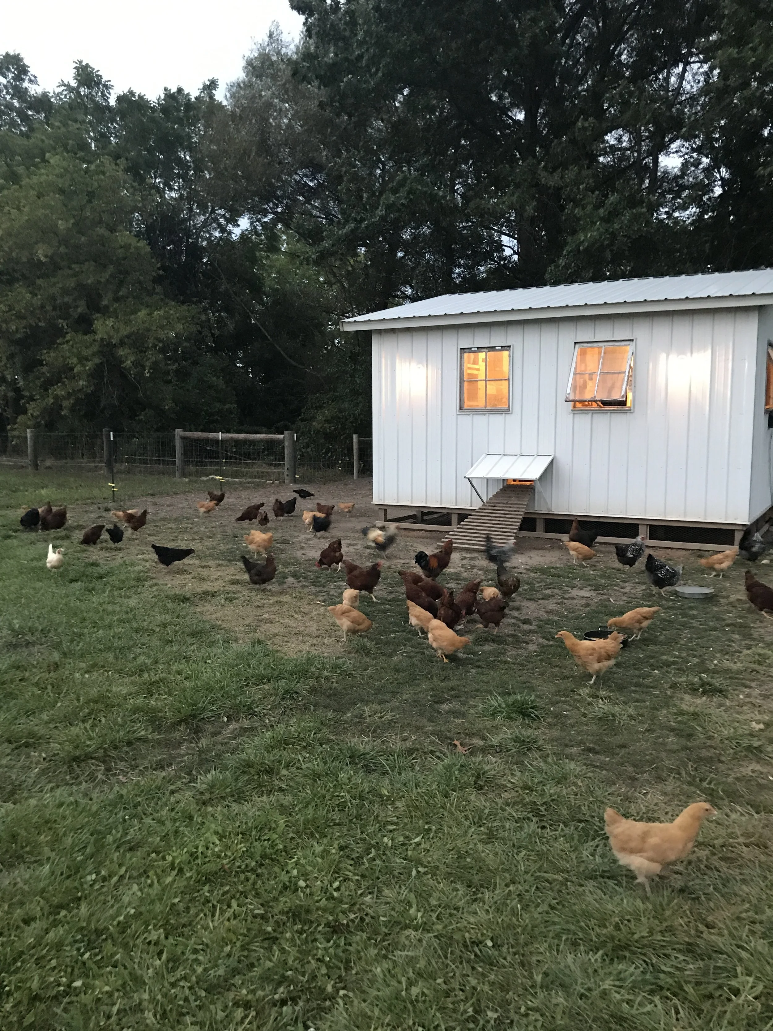 About — Bennett Farms