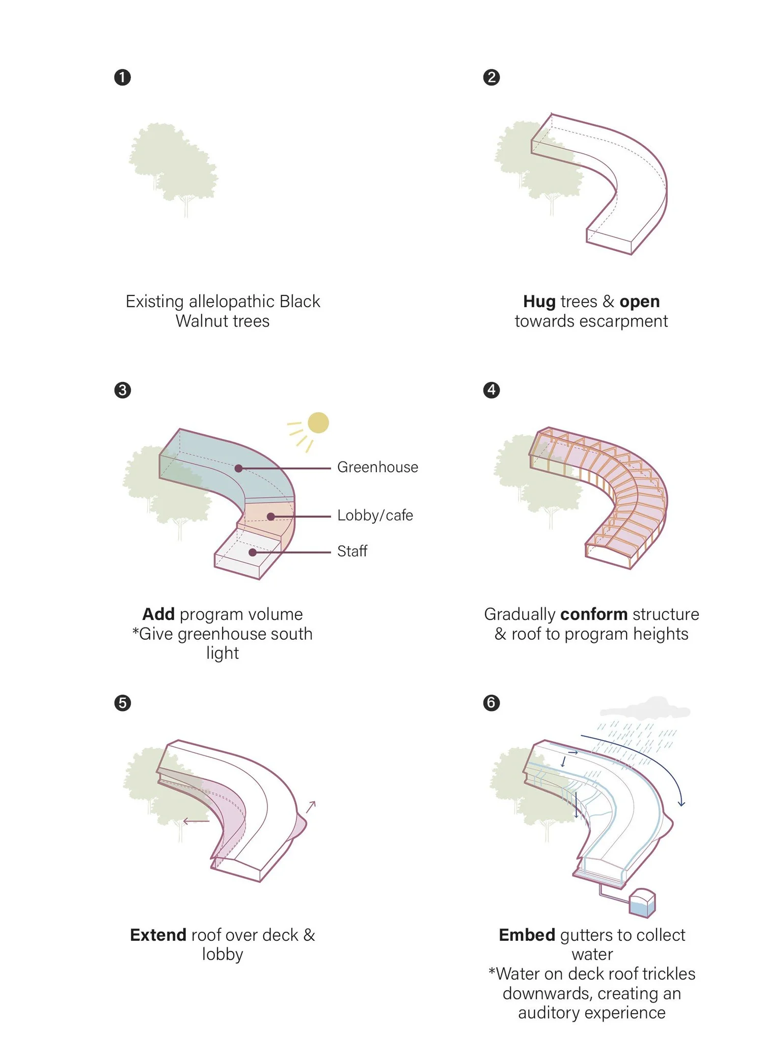 Bloom — Michael Salib