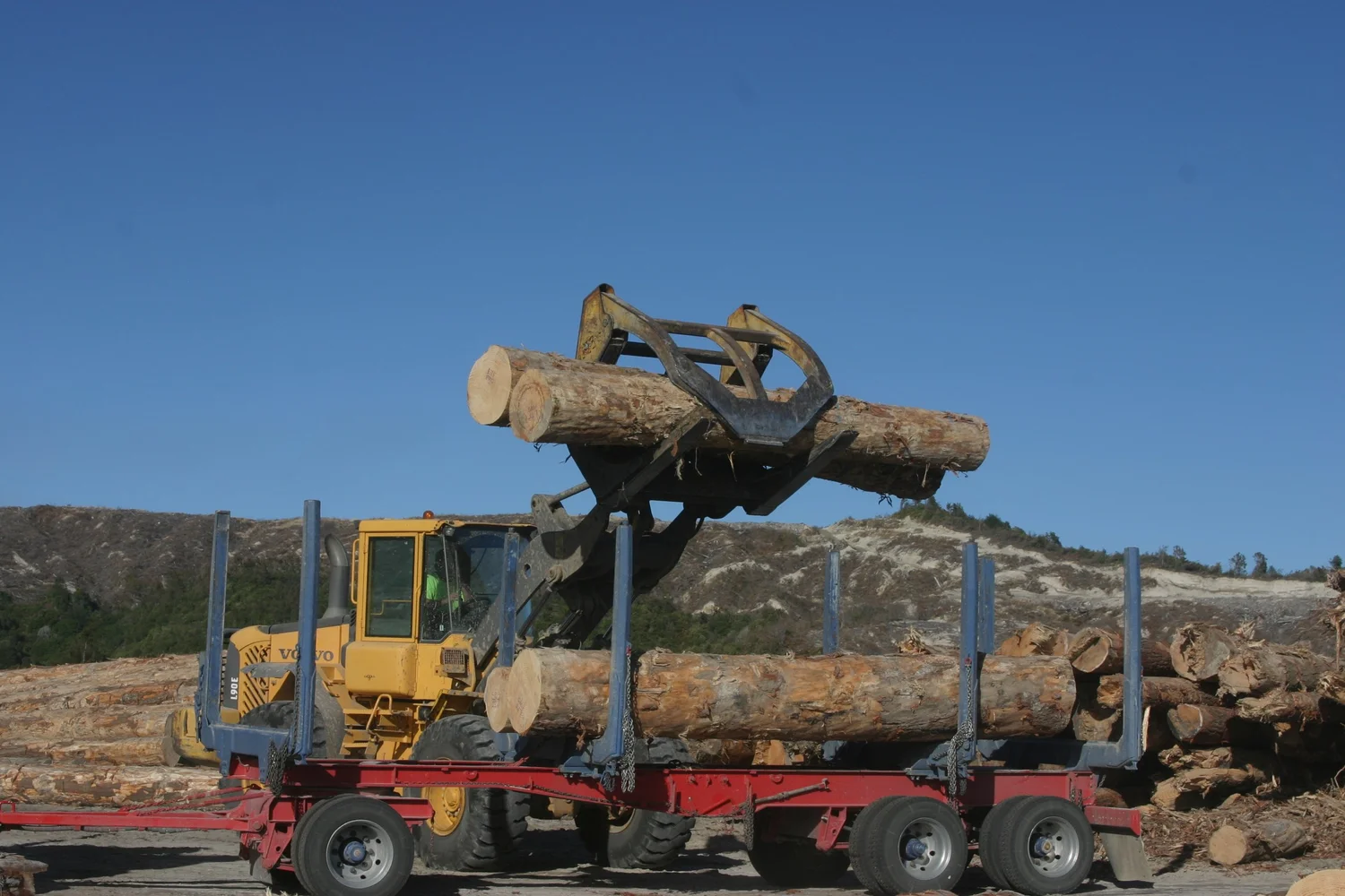 Health & Safety — NZ Forest Managers | Forest Management Services
