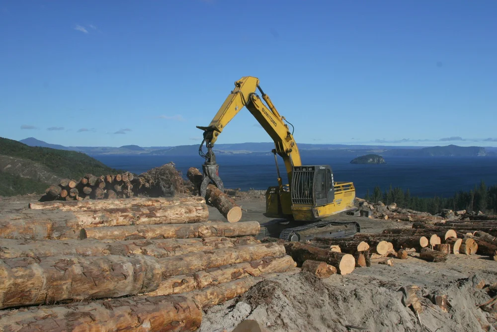 NZ Forest Managers | Forest Management Services