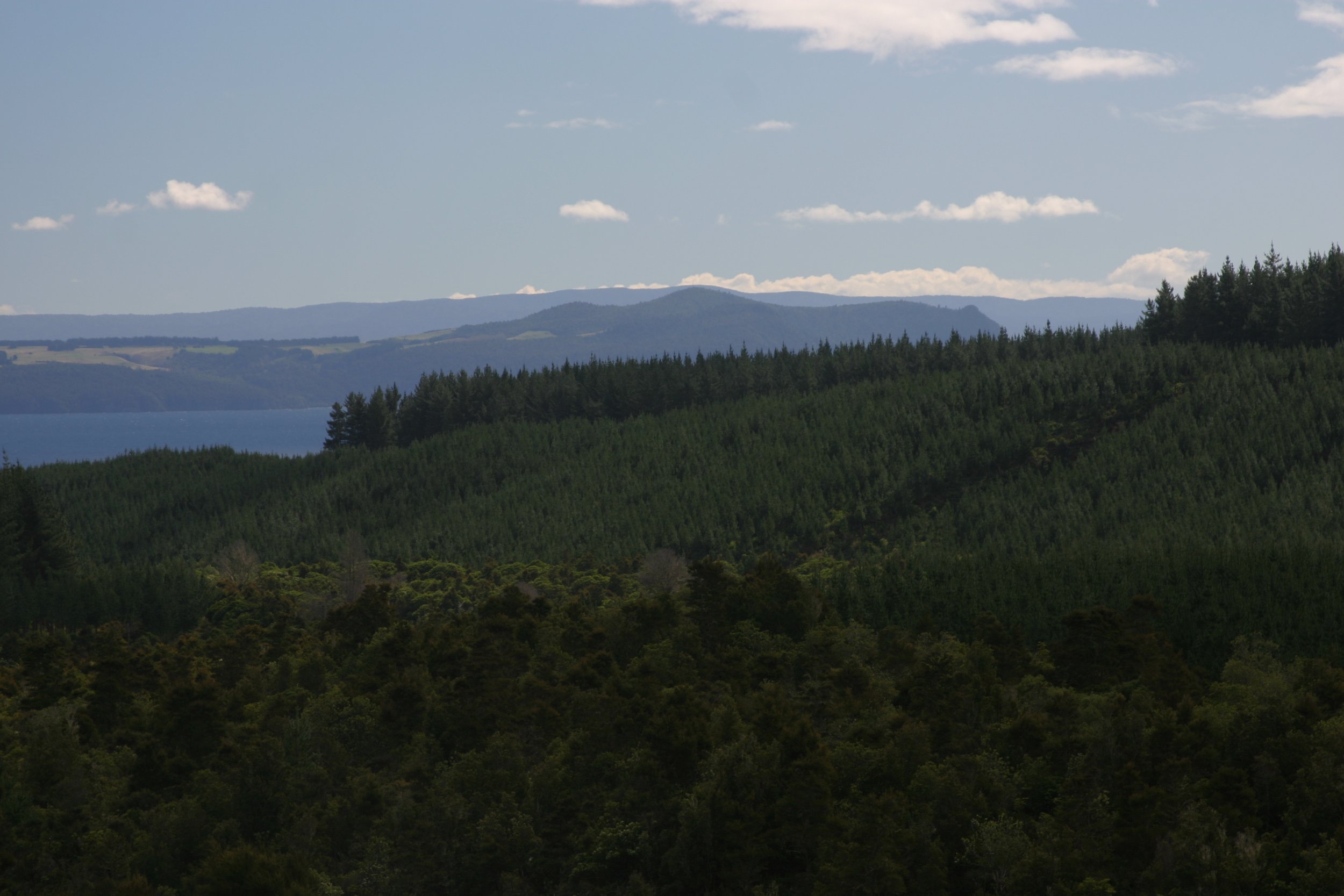 About — NZ Forest Managers | Forest Management Services