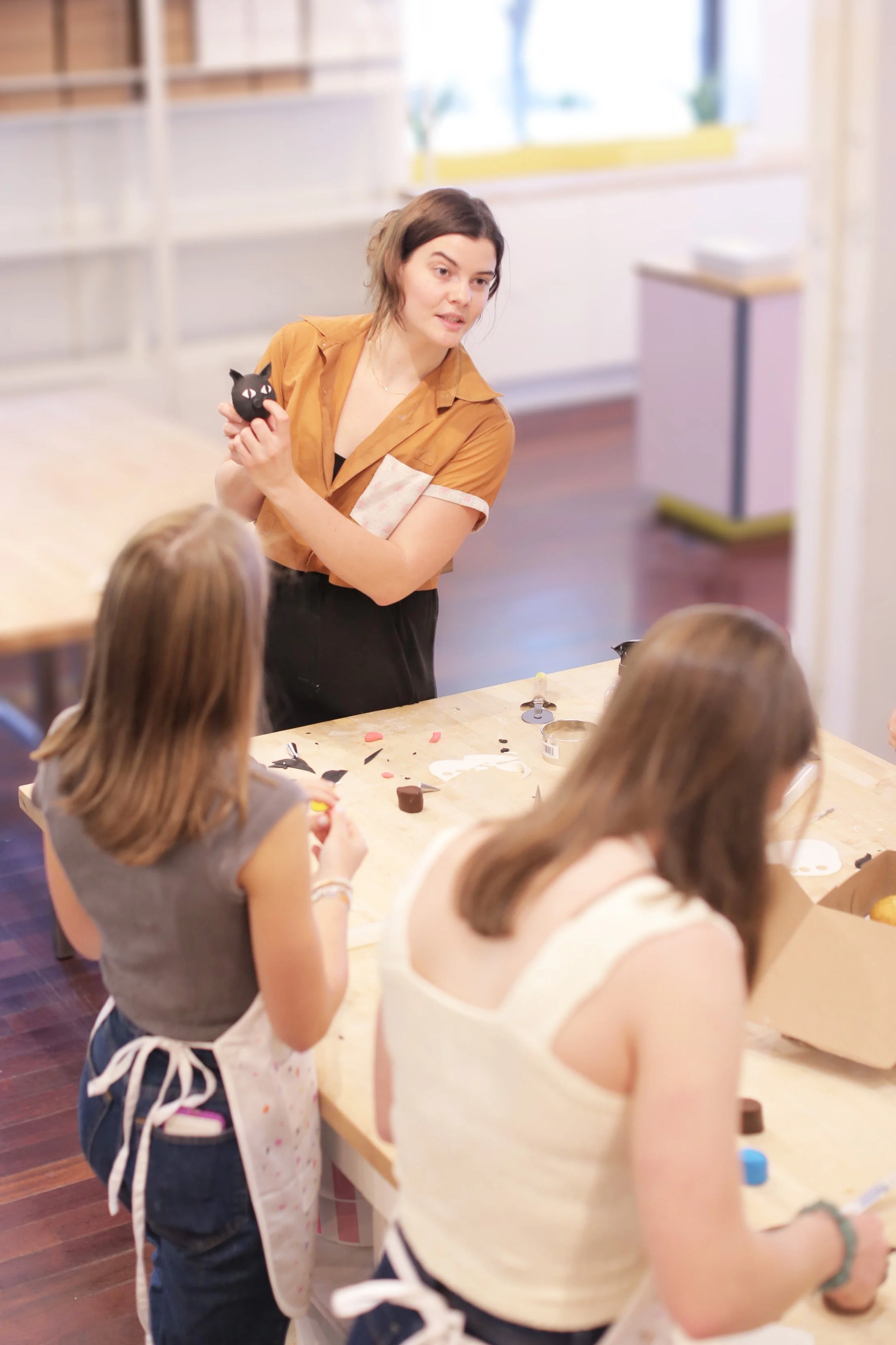 Cake and Cupcake Decorating Classes — Charm City Cakes