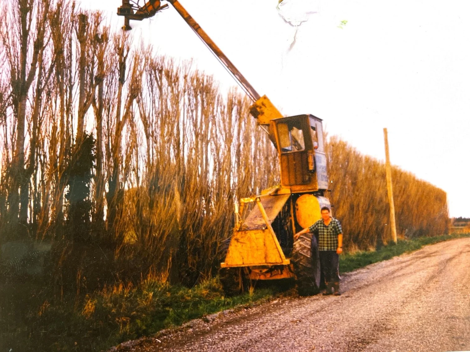 About Us — McDonnells Tree Trim