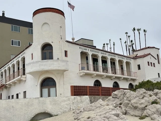 China Cove Beach in Newport Beach, CA: What to Expect (2024) — Orange ...
