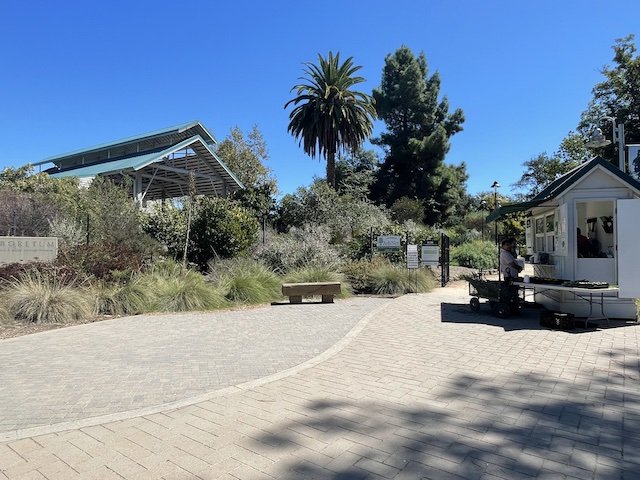 Fullerton Arboretum: What to Expect (2024) — Orange County Insiders ...