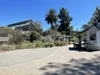 Fullerton Arboretum: What to Expect (2024) — Orange County Insiders ...
