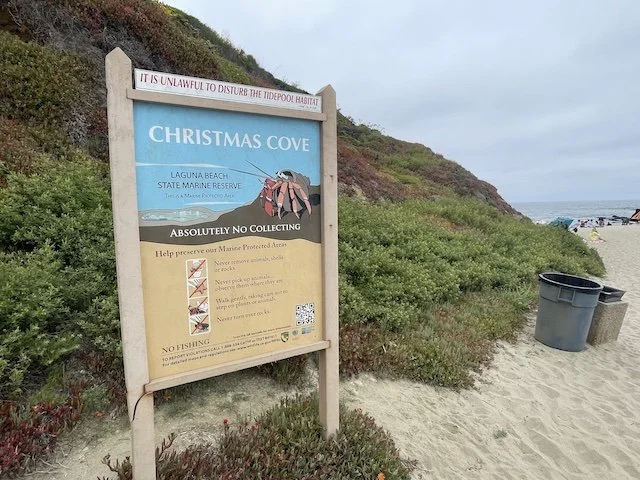 Christmas Cove in Laguna Beach, CA: What to Expect (2024) — Orange ...