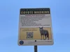 Coyotes in Orange County: What to Expect — Orange County Insiders ...