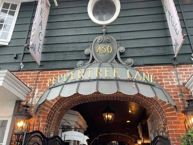 Peppertree Lane in Laguna Beach, CA: What to Expect (2024) — Orange ...