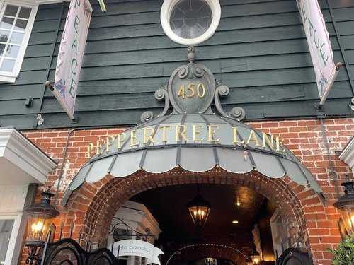 Peppertree Lane in Laguna Beach, CA: What to Expect (2024) — Orange ...