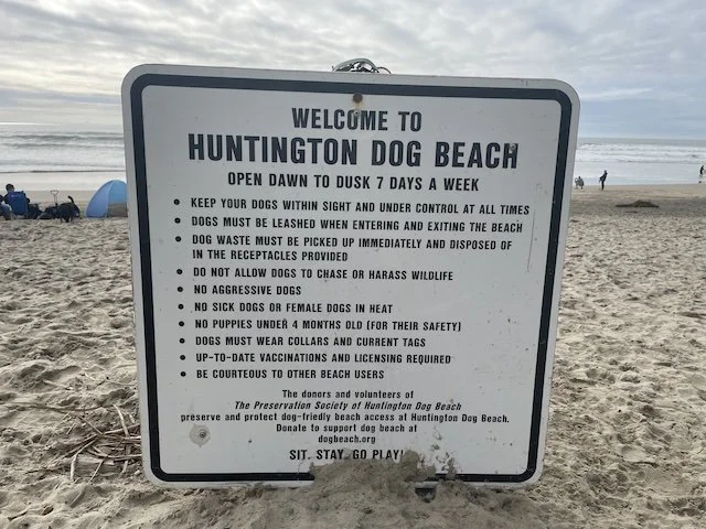 Huntington Dog Beach: What to Expect (2025) — Orange County Insiders ...