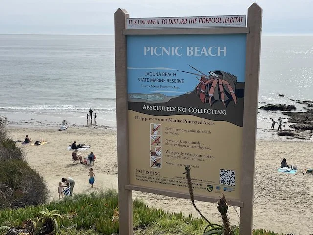 Picnic Beach in Laguna Beach, CA: What to Expect (2024) — Orange County ...