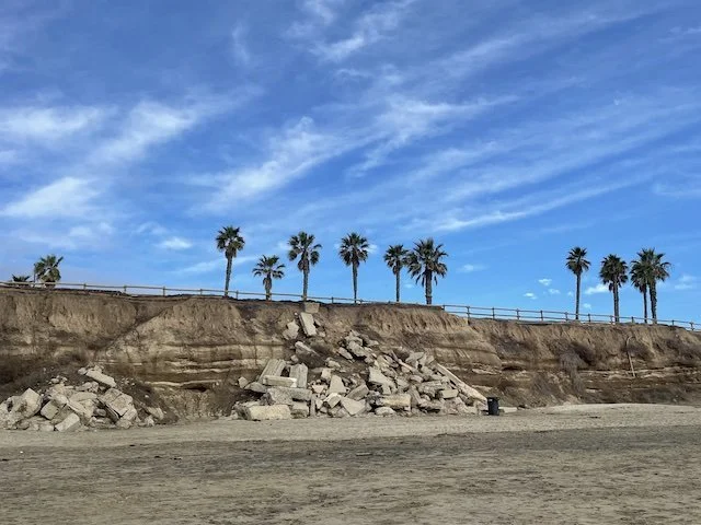 Huntington Dog Beach: What to Expect (2025) — Orange County Insiders ...