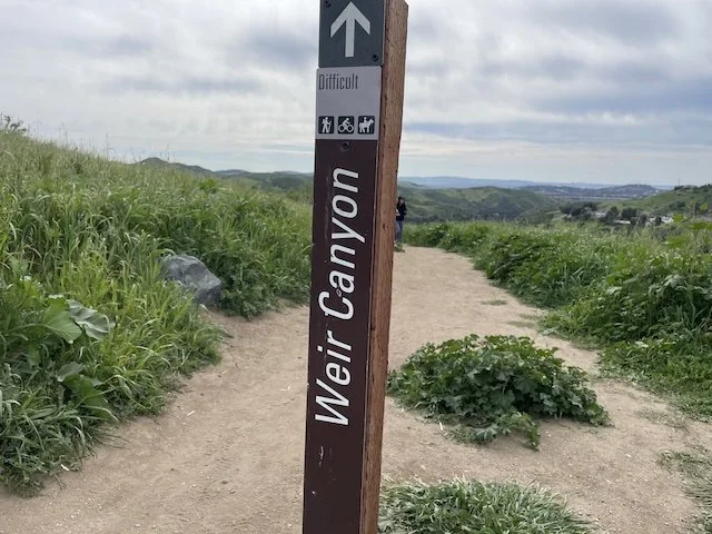Best Hikes in Orange County, CA (2024) — Orange County Insiders | Tips ...