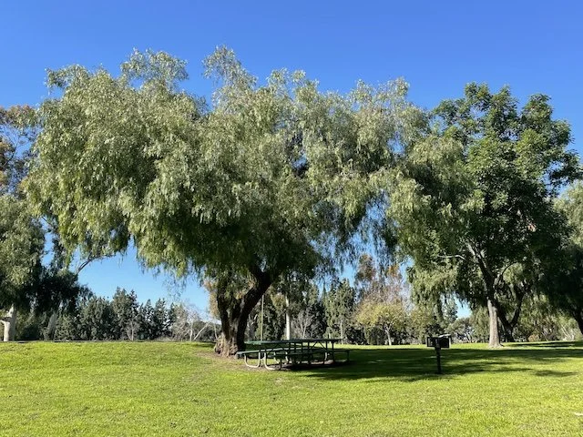 Complete List of Regional Parks in Orange County, CA — Orange County ...