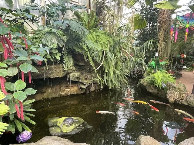 Sherman Library & Gardens: What to Expect (2024) — Orange County ...